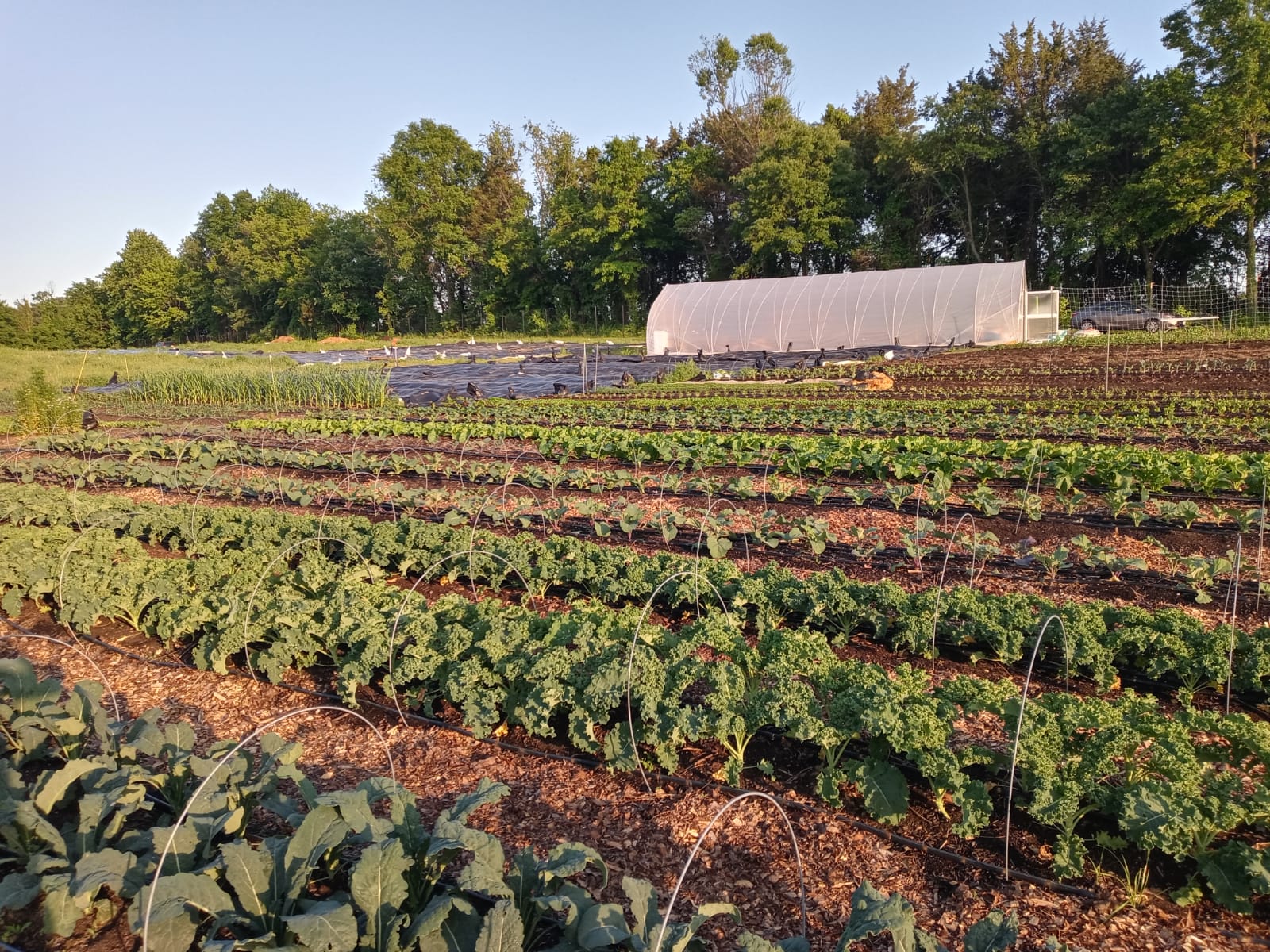 OurSpace World - Growing Justice