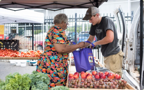 Planting Justice - Growing Justice